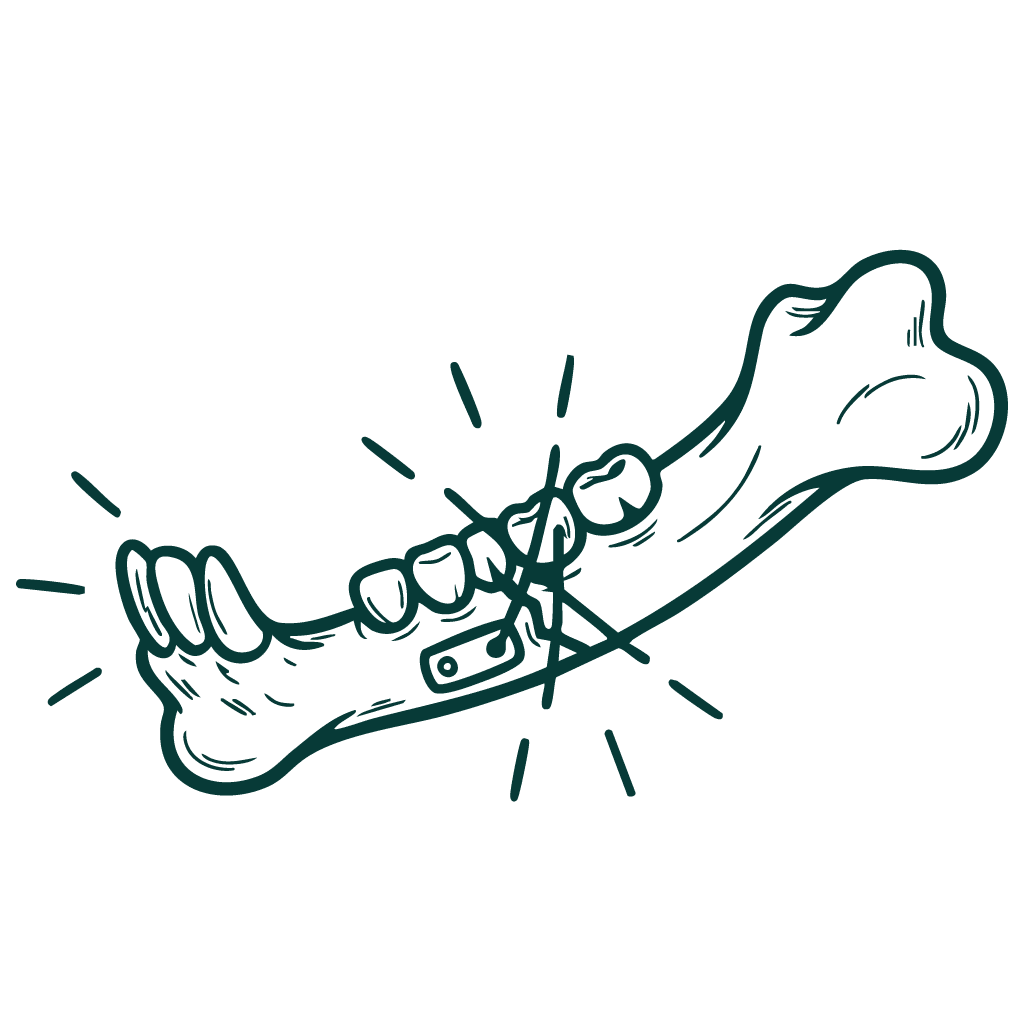 Oral Surgery for Cats & Dogs in Missoula, MT | Missoula Veterinary ...